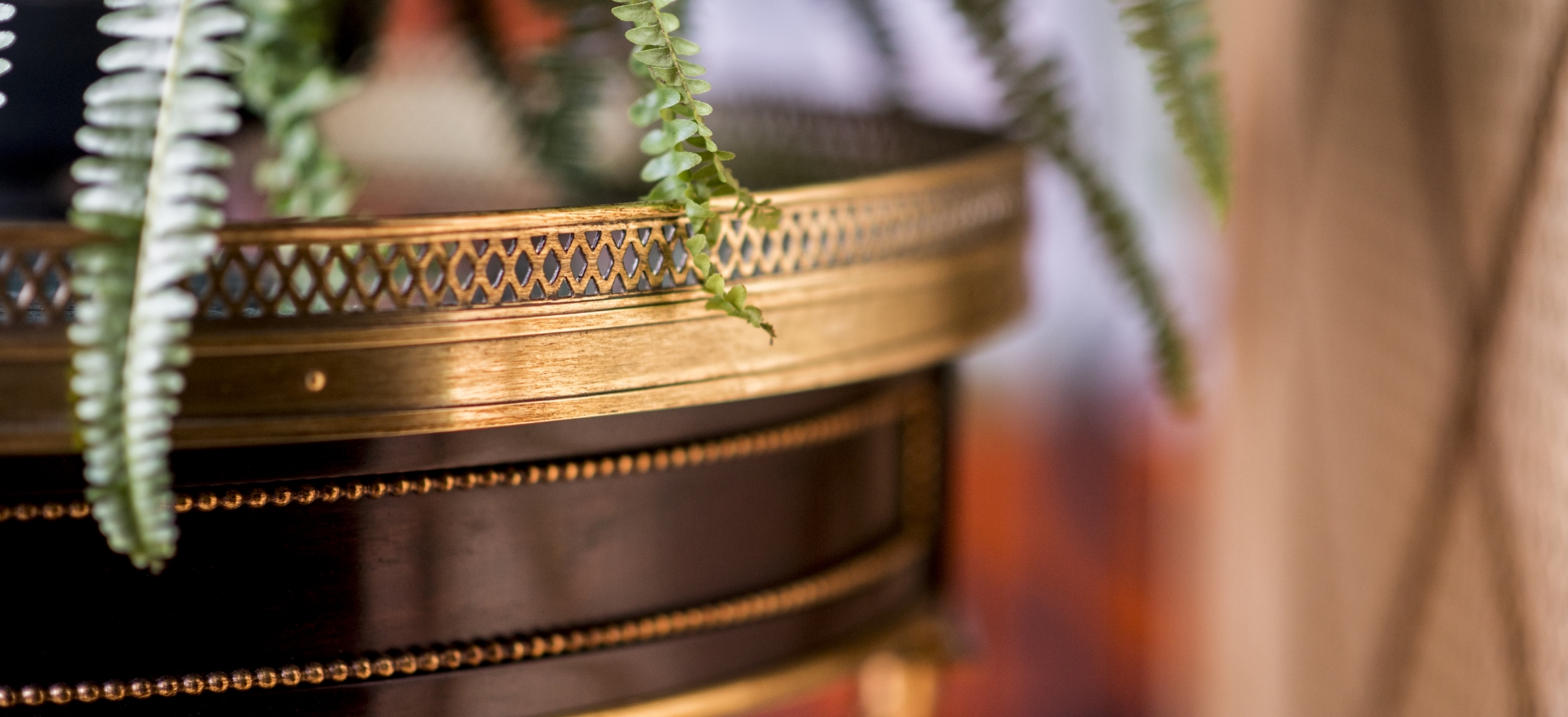 Collection - Taillardat